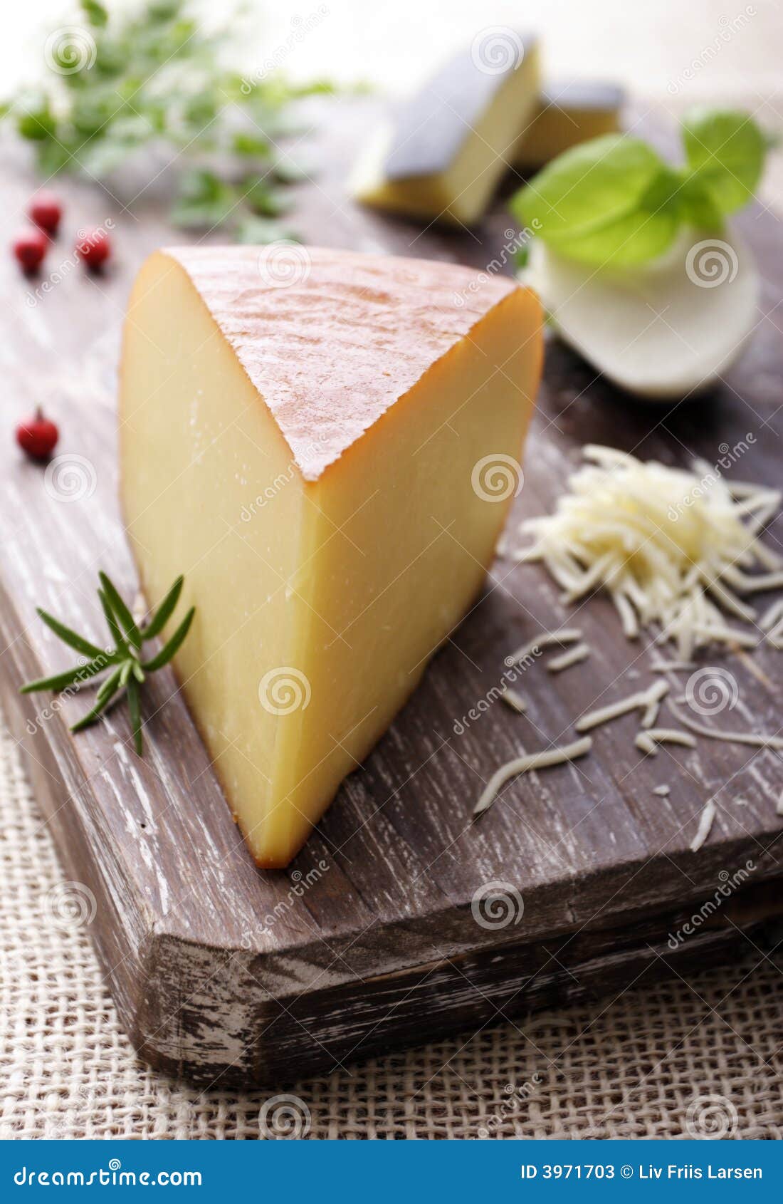 Cheese selection stock image. Image of regato, group, dairy - 3971703