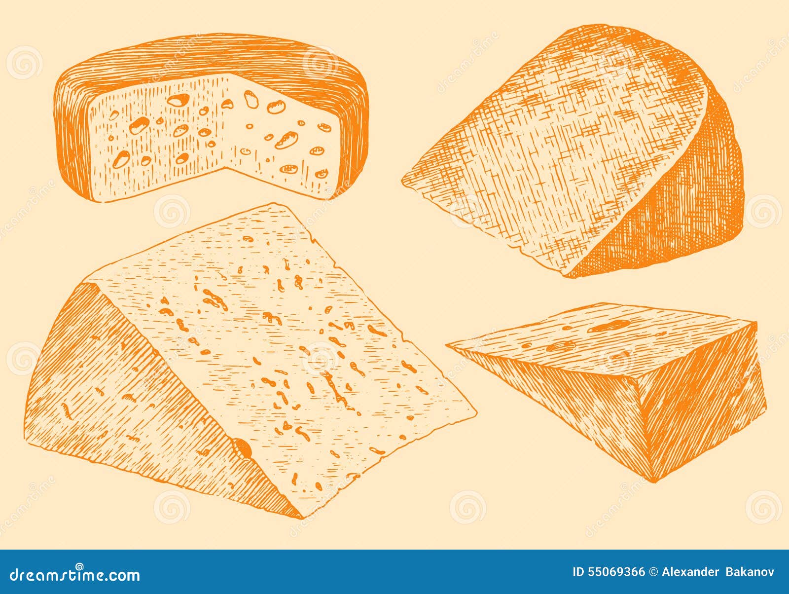 Cheese Set Engraving Hand Drawn Vintage Vector Stock Vector ...