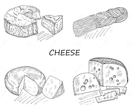 Cheese set stock vector. Illustration of concept, prepared - 59538707