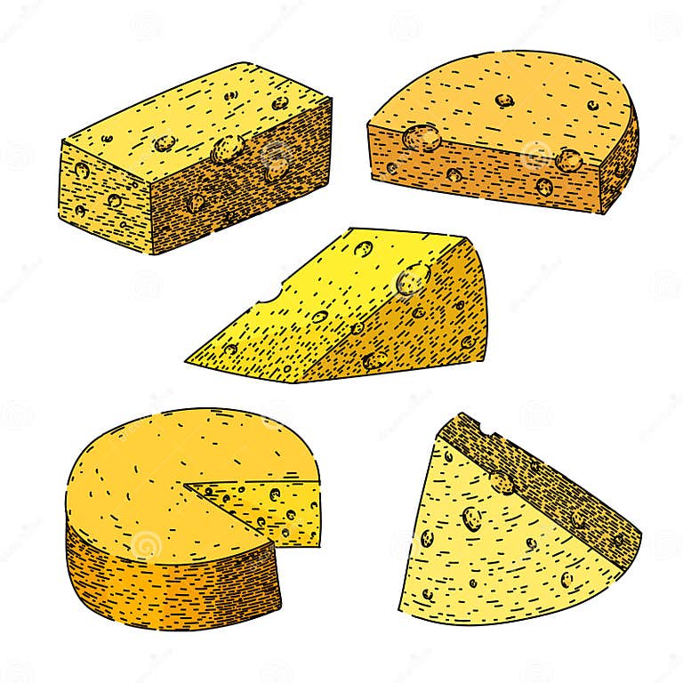 Cheese Set Sketch Hand Drawn Vector Stock Illustration Illustration