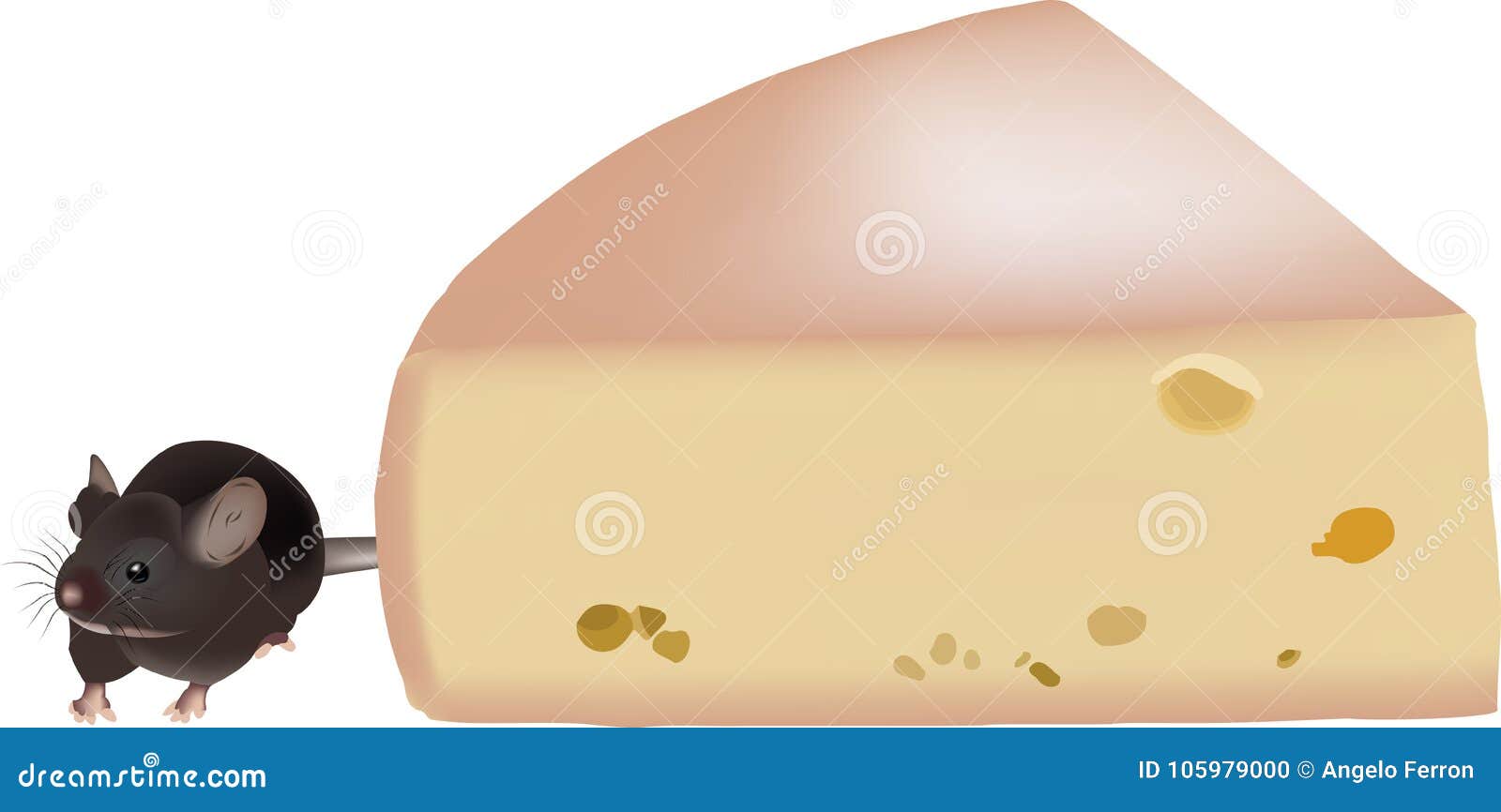 Cheese Shape with Rat Rodent Stock Vector - Illustration of mammal ...