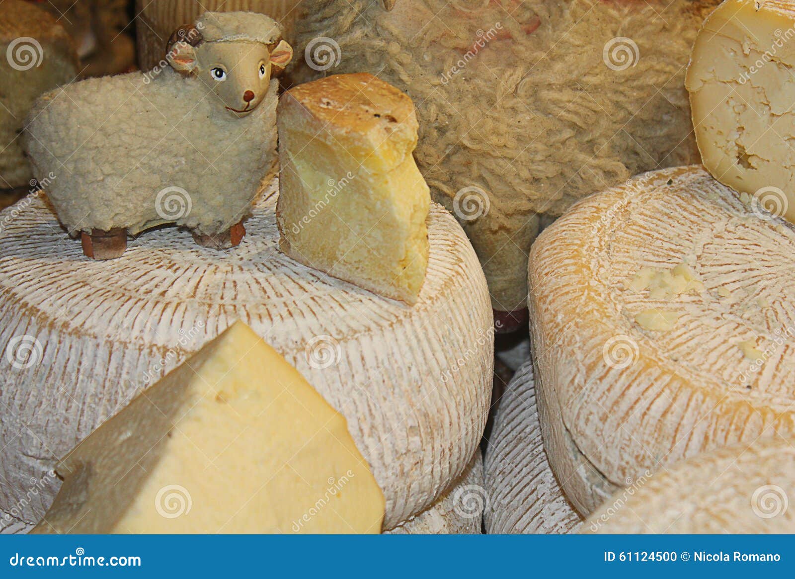 Cheese and sheep stock photo. Image of milk, market, toma - 61124500
