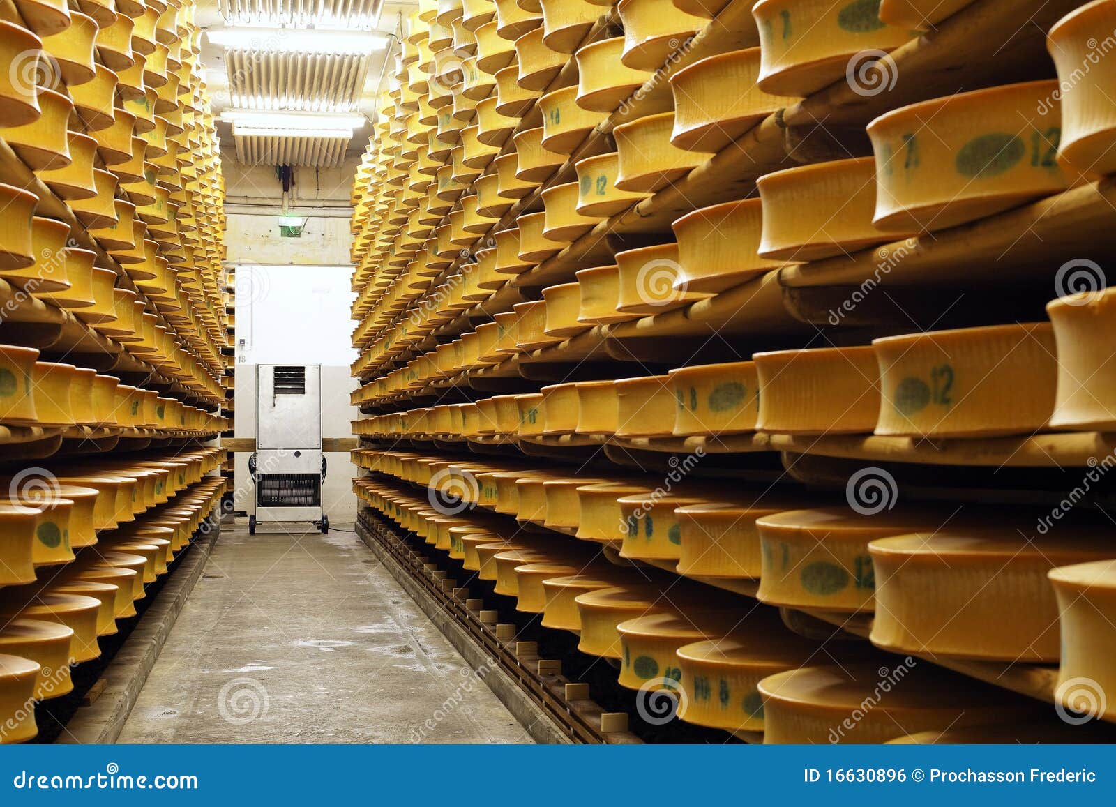 Cheese stock stock photo. Image of gruyere, france, tome - 16630896
