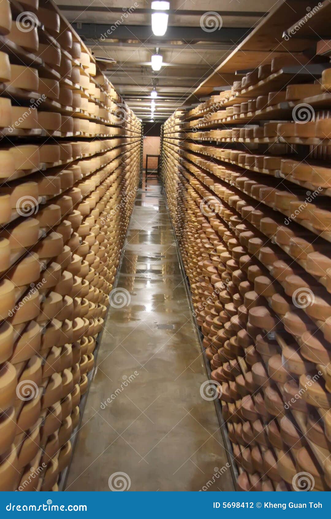 Cheese storage stock photo. Image of plenty, storing, stacks - 5698412