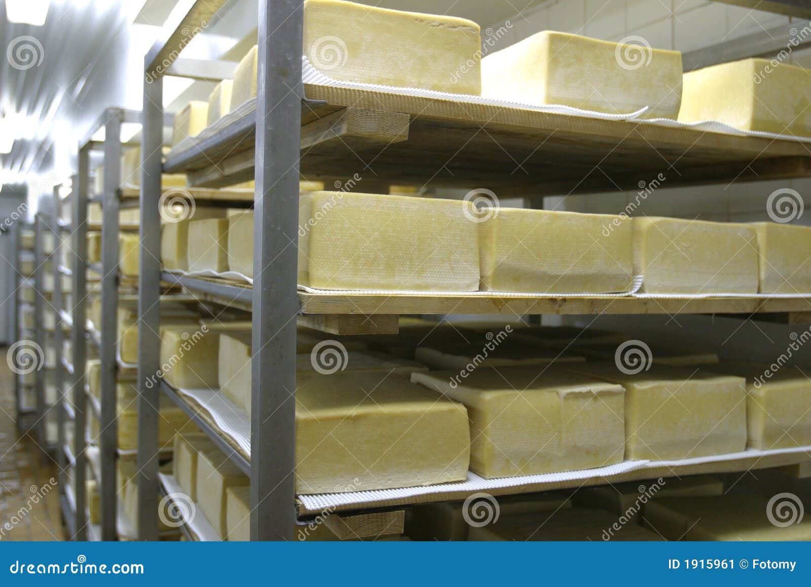 Cheese storage in dairy stock image. Image of temperature - 1915961