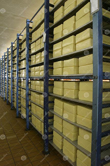 Cheese storage in dairy stock image. Image of storage - 1916145