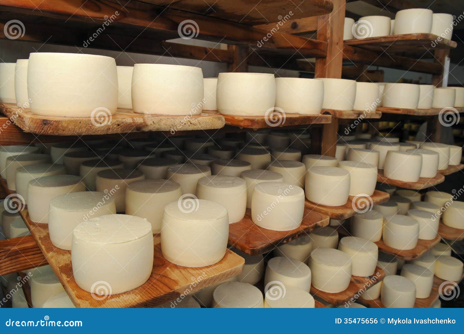 Cheese storage stock photo. Image of cheese, shelve, room - 35475656
