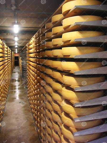 Cheese store stock image. Image of yellow, shelves, cheese - 100723