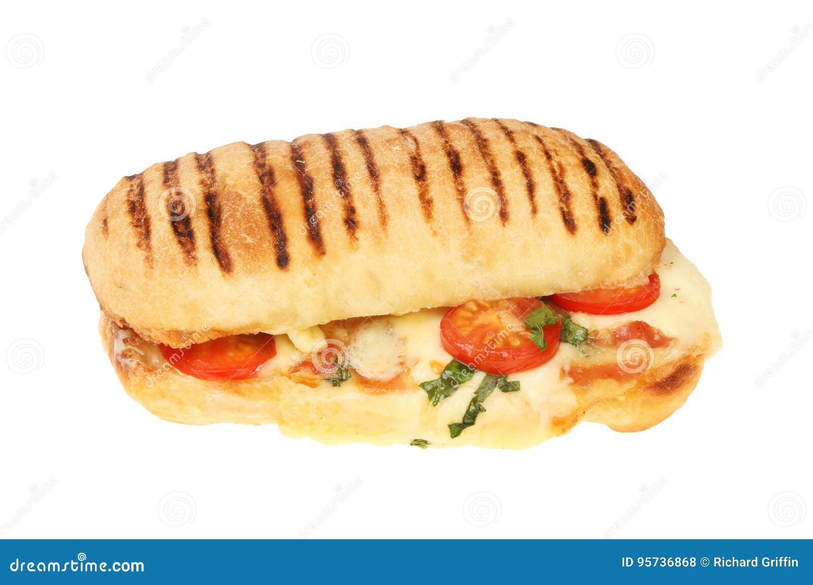 Cheese and tomato panini stock photo. Image of tomato - 95736868
