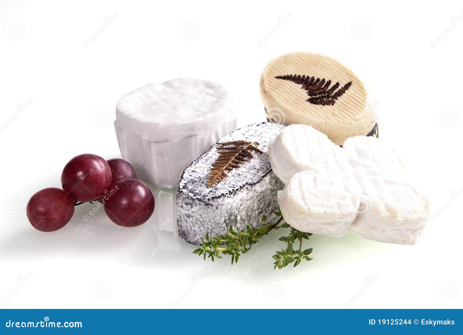 Cheese variation. stock photo. Image of collection, delicious - 19125244