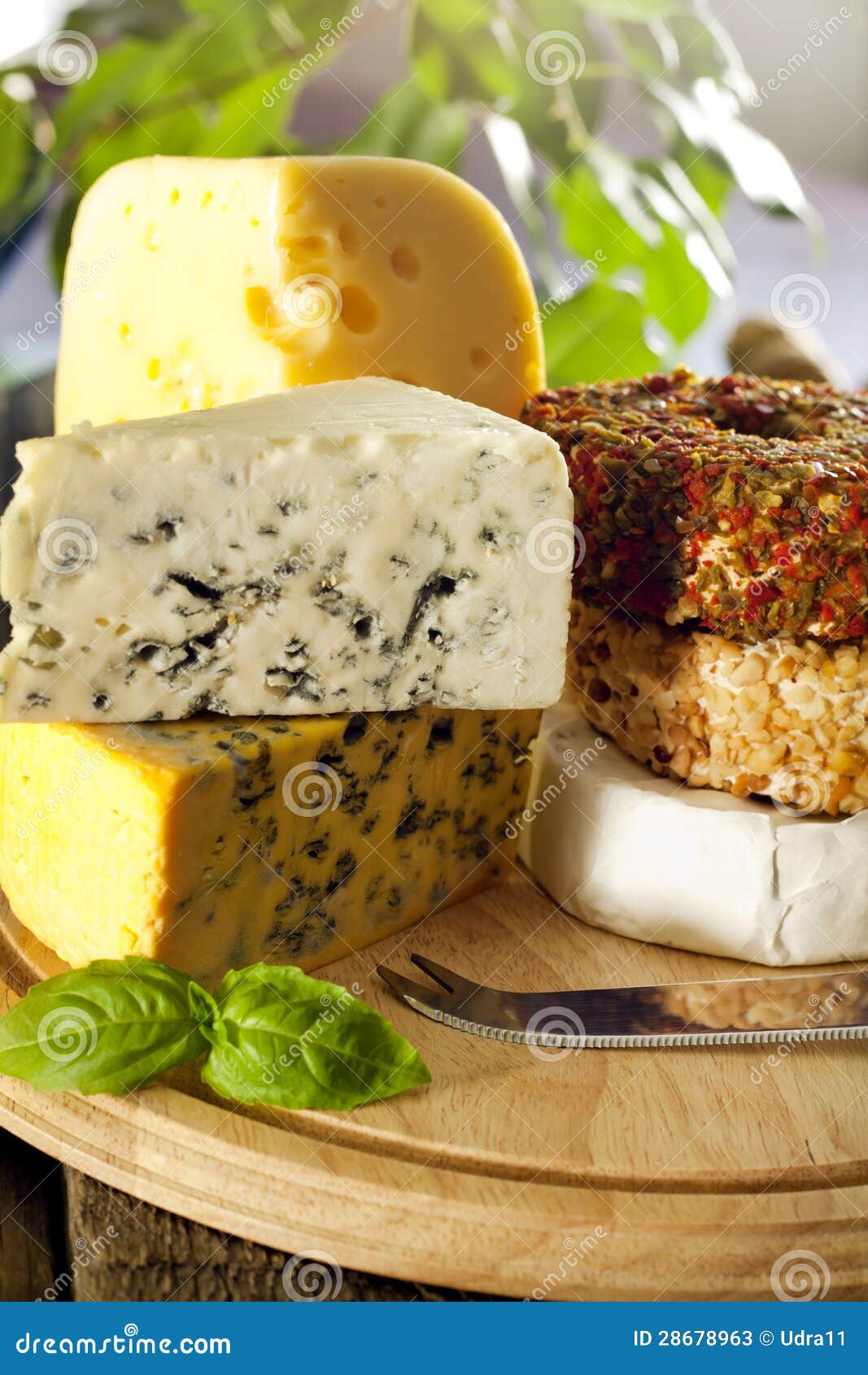 Cheese various assortment stock image. Image of cheese - 28678963