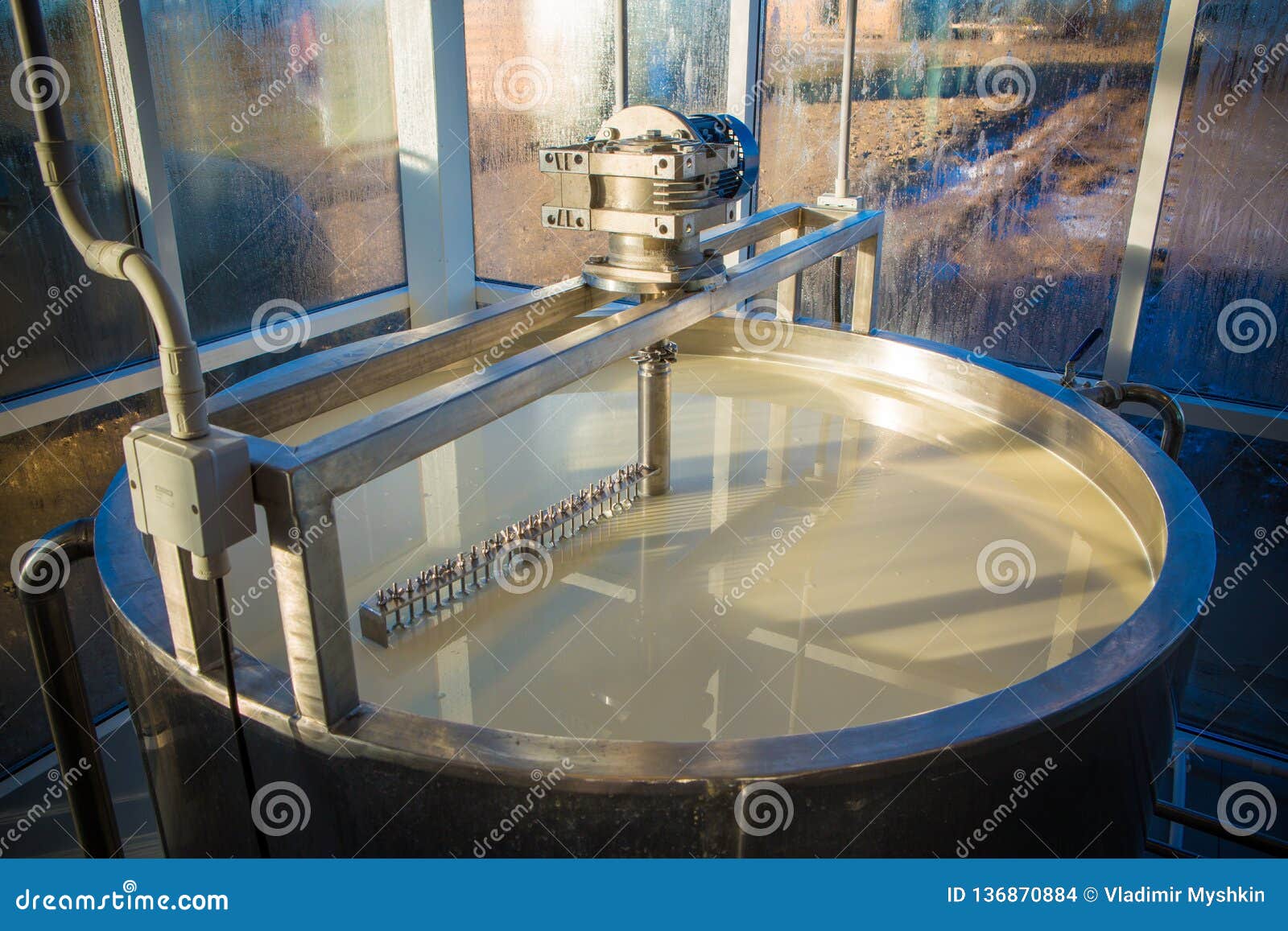 Cheese vats in the dairy stock photo. Image of cooking - 136870884