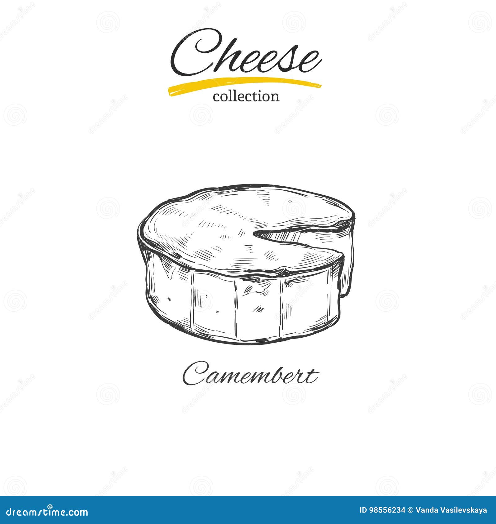 Cheese . Vector hand drawn stock vector. Illustration of cultures ...