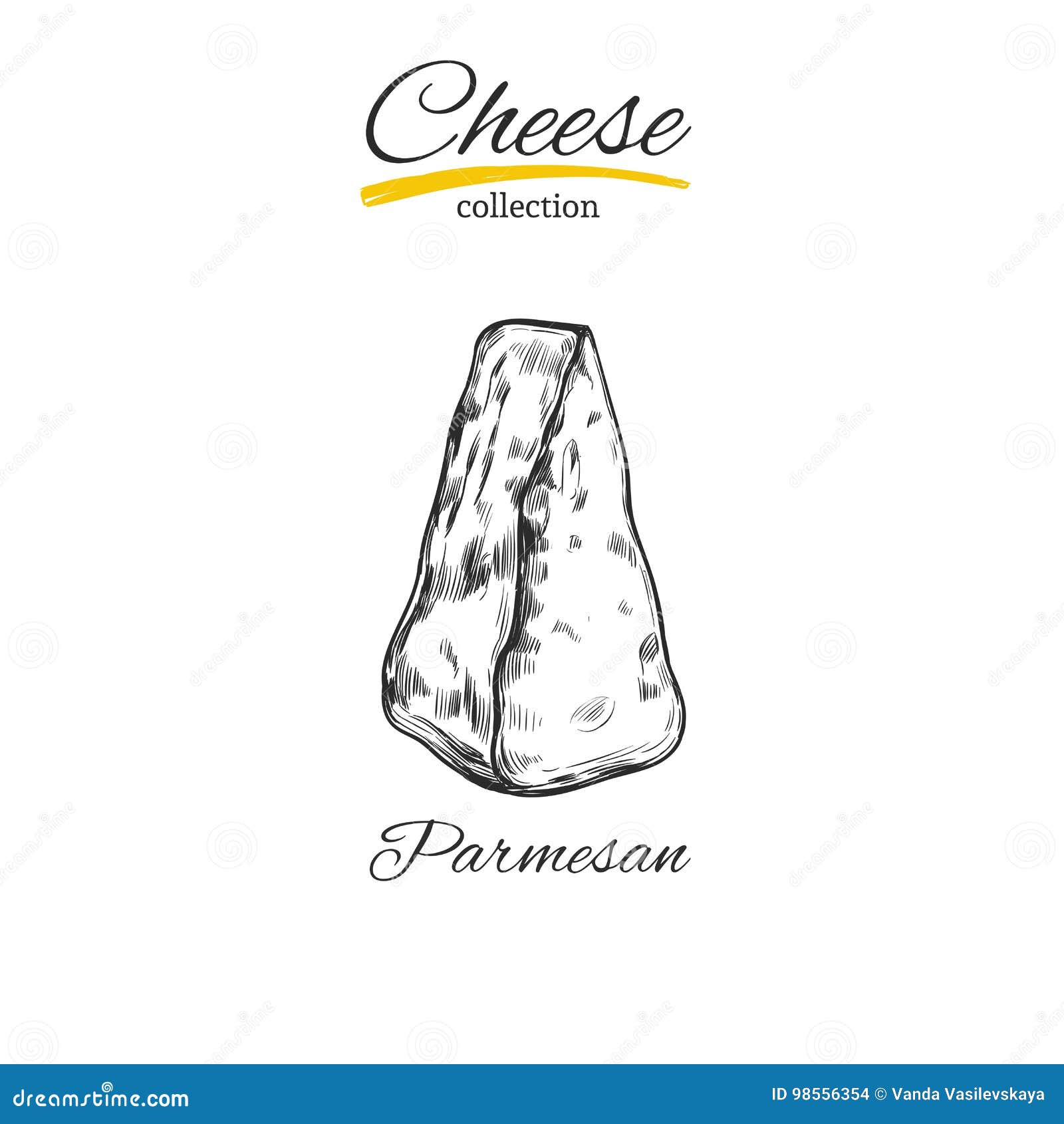 Cheese . Vector hand drawn stock vector. Illustration of cheese - 98556354