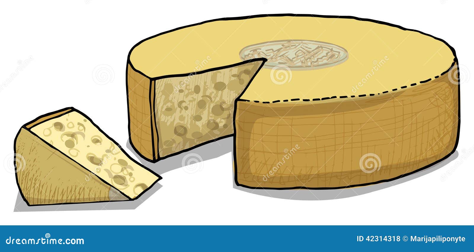 Wheel Of Cheese Vector