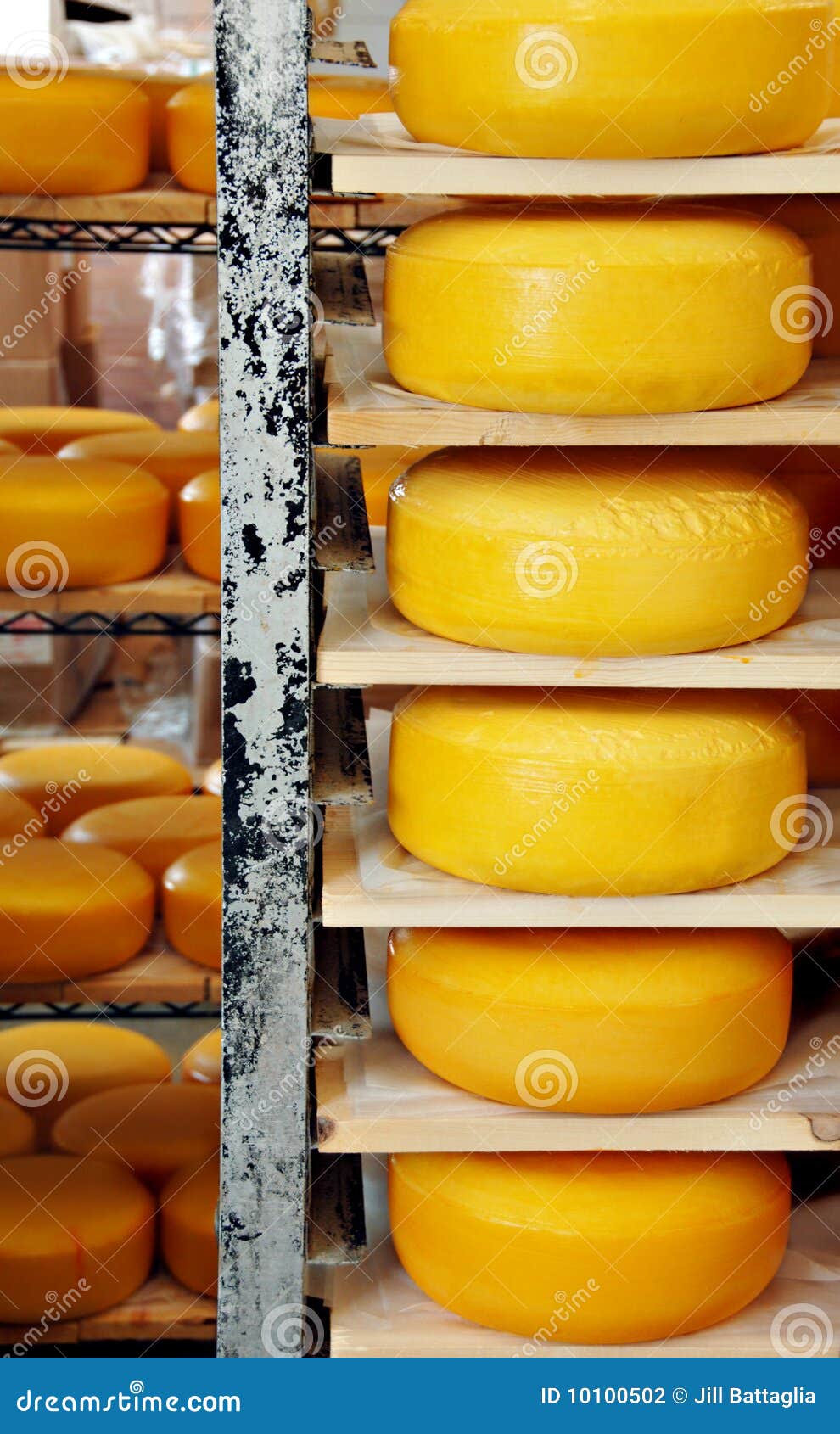 Cheese Wheels stock photo. Image of shelves, wheel, wheels - 10100502