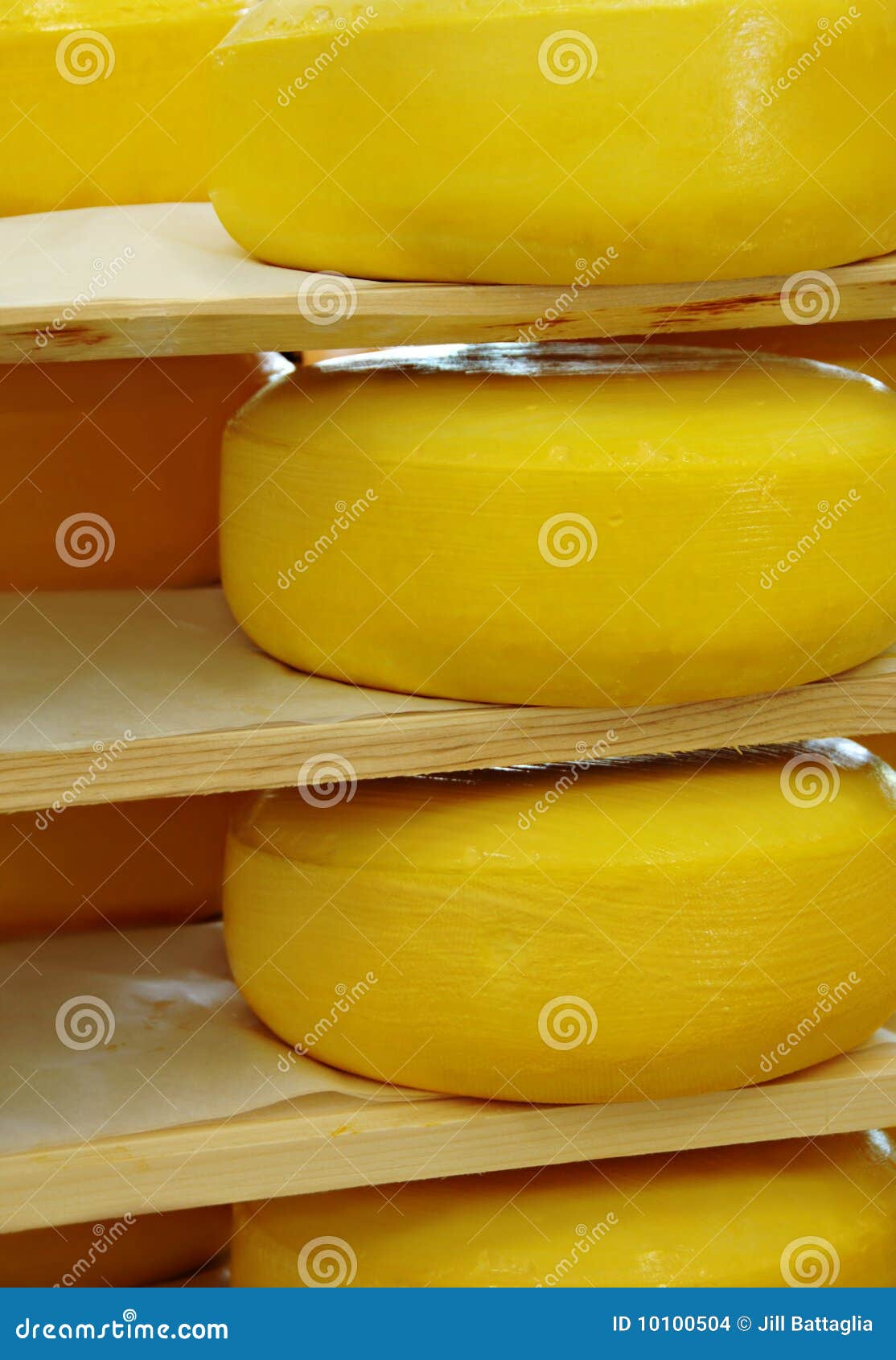 Cheese Wheels stock photo. Image of rack, food, wheels - 10100504