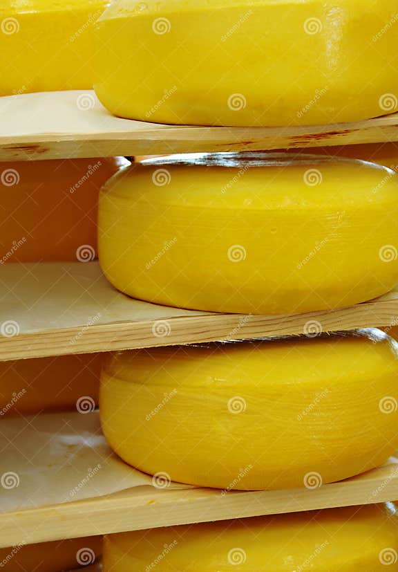 Cheese Wheels stock photo. Image of rack, food, wheels - 10100504