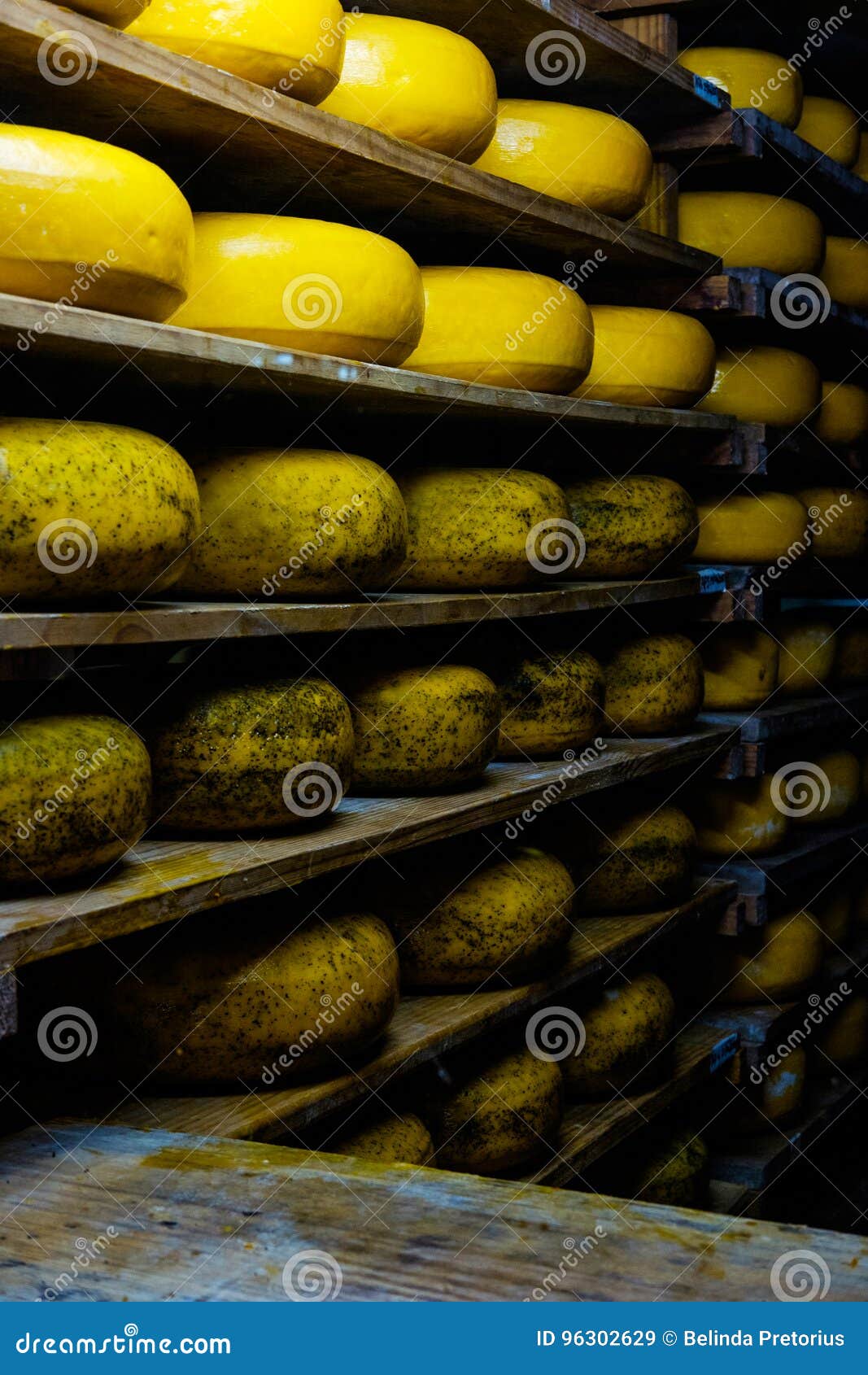 Cheese Wheels, Different Sorts, At The Farmers Market Royalty-Free ...
