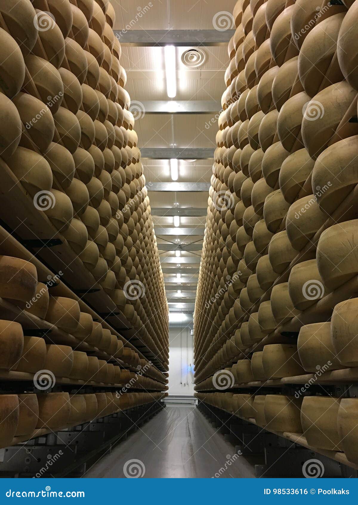 Cheese Wheels Maturing in Cheese Cellar Stock Photo - Image of cheese ...