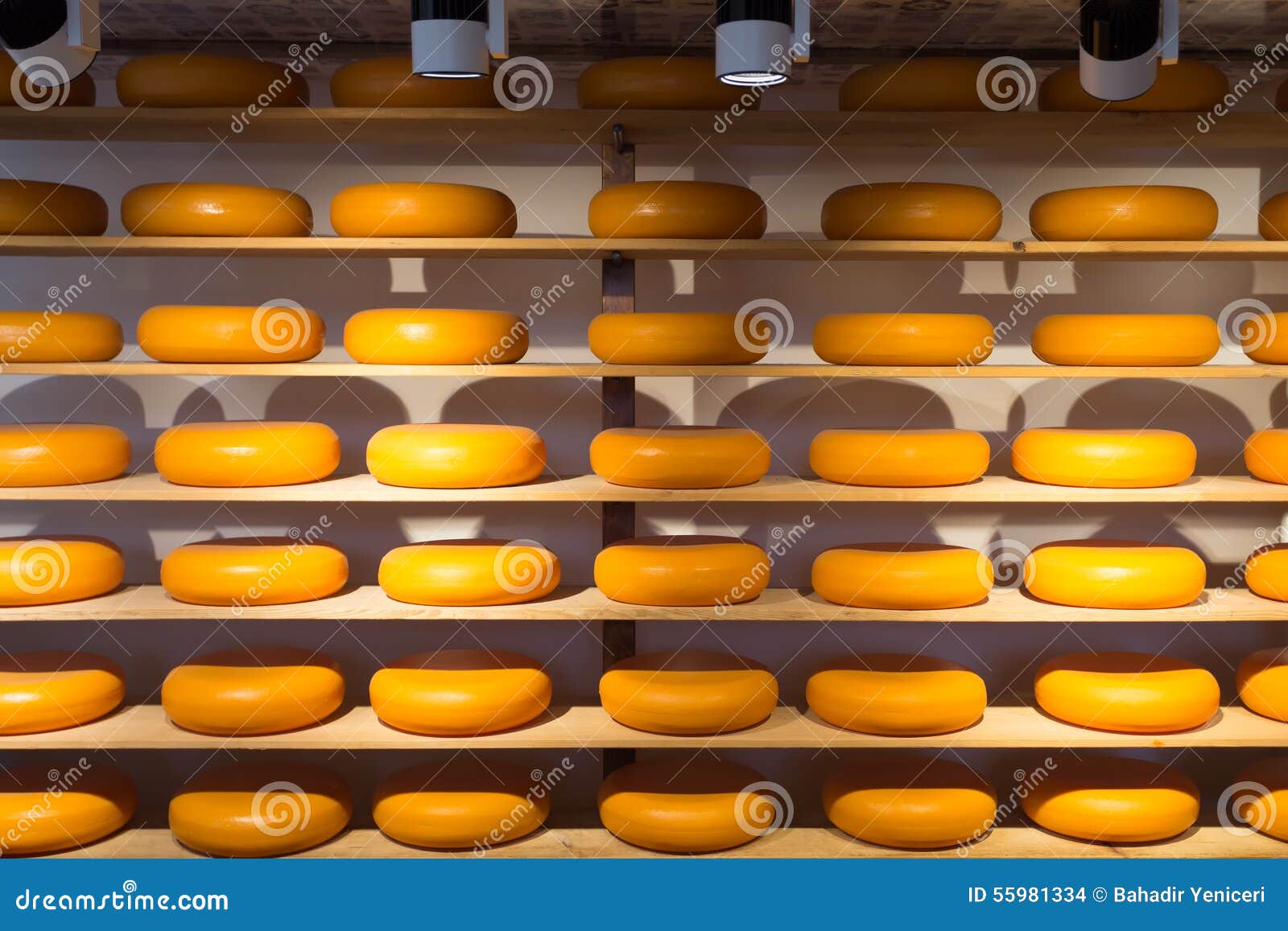 Cheese Wheels stock photo. Image of rack, industrial - 55981334
