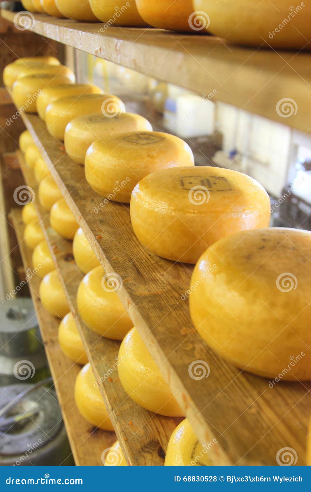 Cheese wheels stock photo. Image of trade, dutch, monger - 68830528