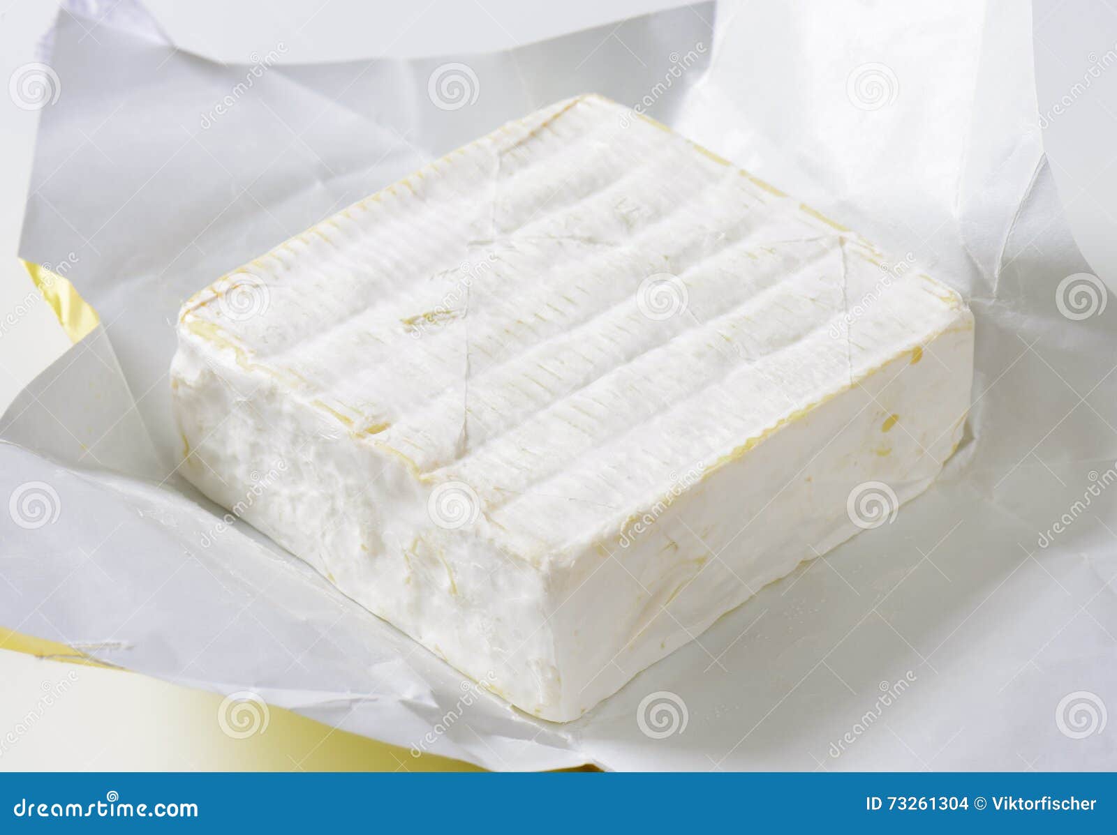 Cheese with white rind stock photo. Image of studio, cheese - 73261304