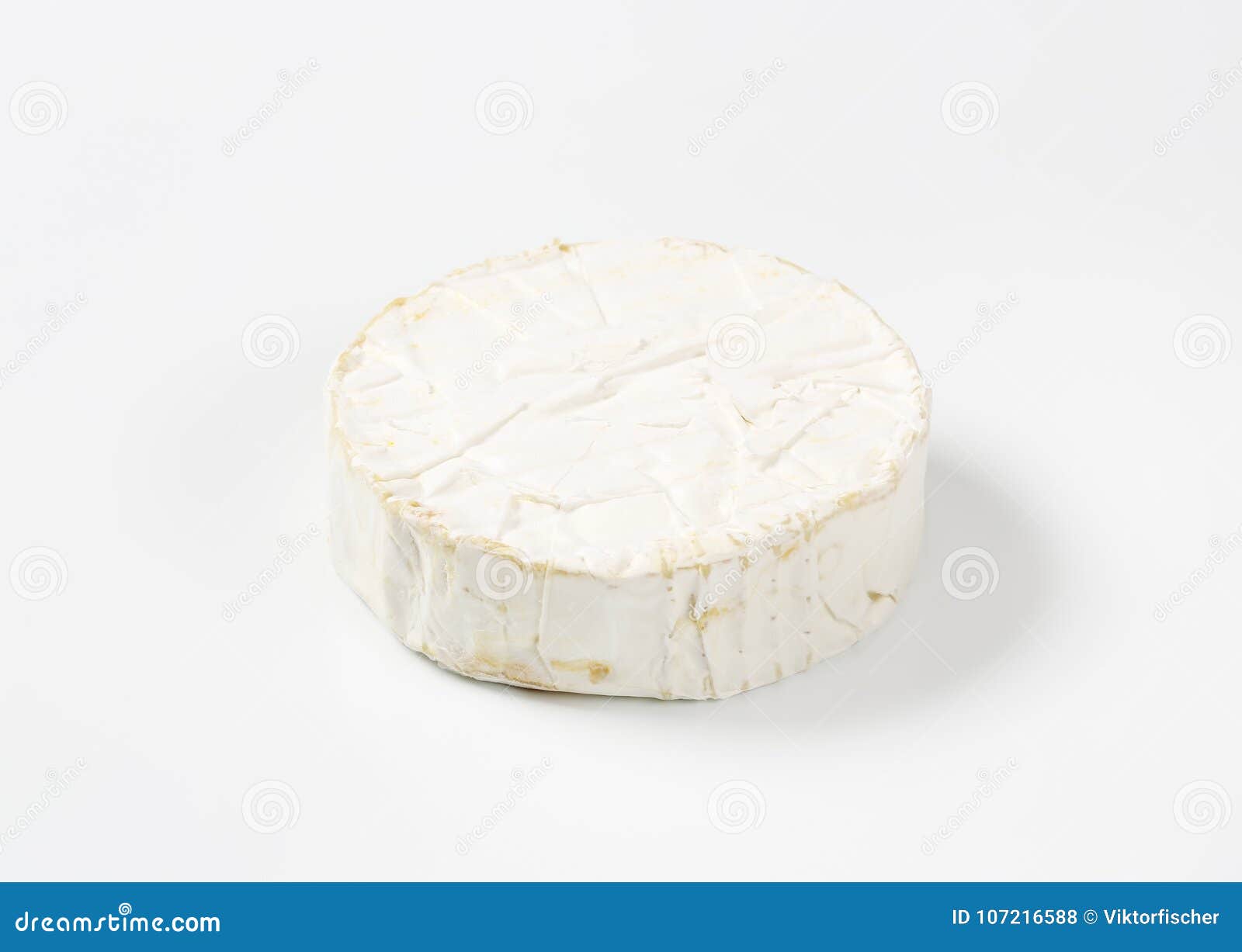 Cheese with white rind stock photo. Image of ripened - 107216588