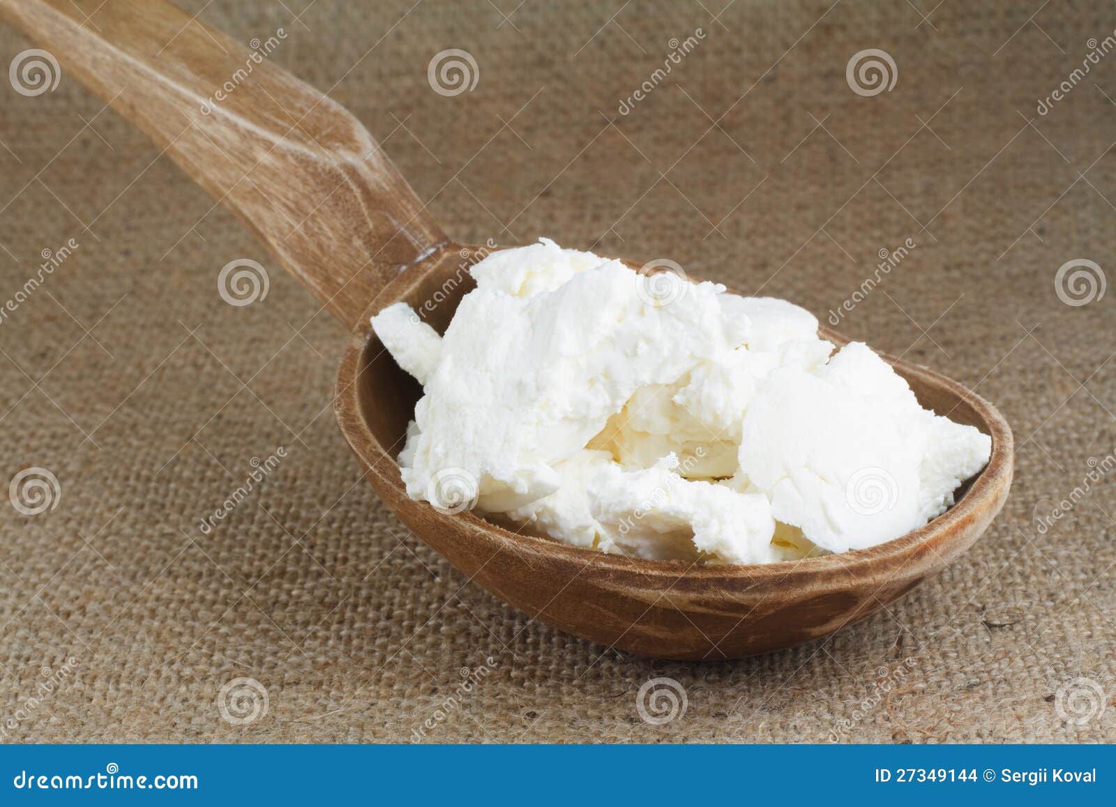 Cheese and wooden spoon stock photo. Image of eating - 27349144