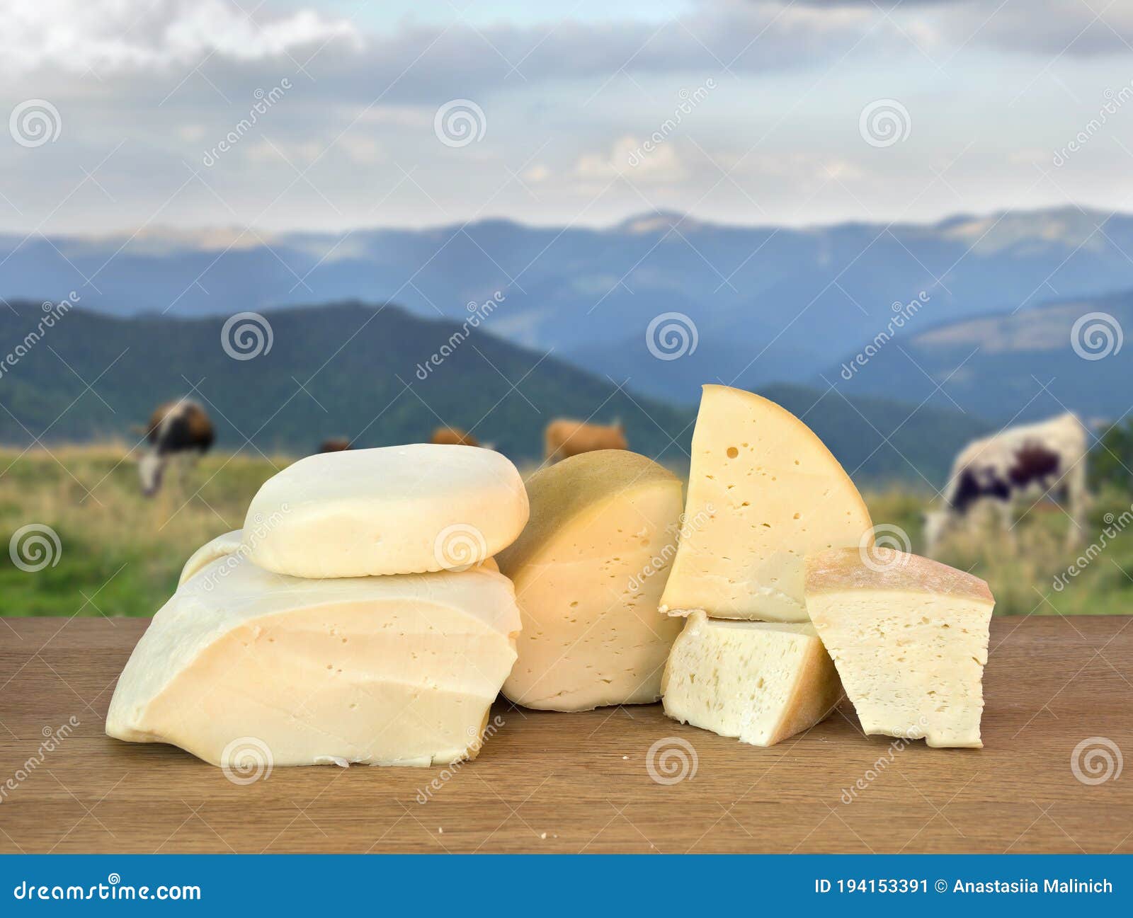Cheese on Wooden Table on Background of Meadow with Cows in the ...