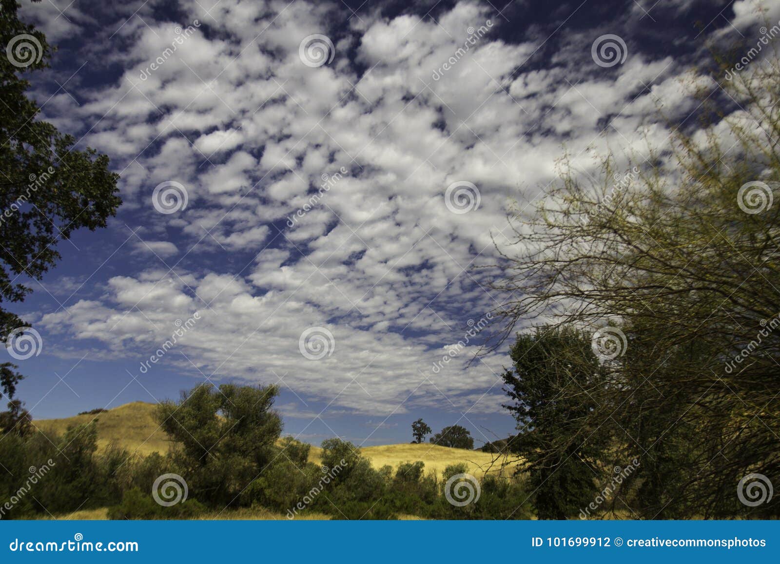 Cheeseboro Canyon Picture. Image: 101699912