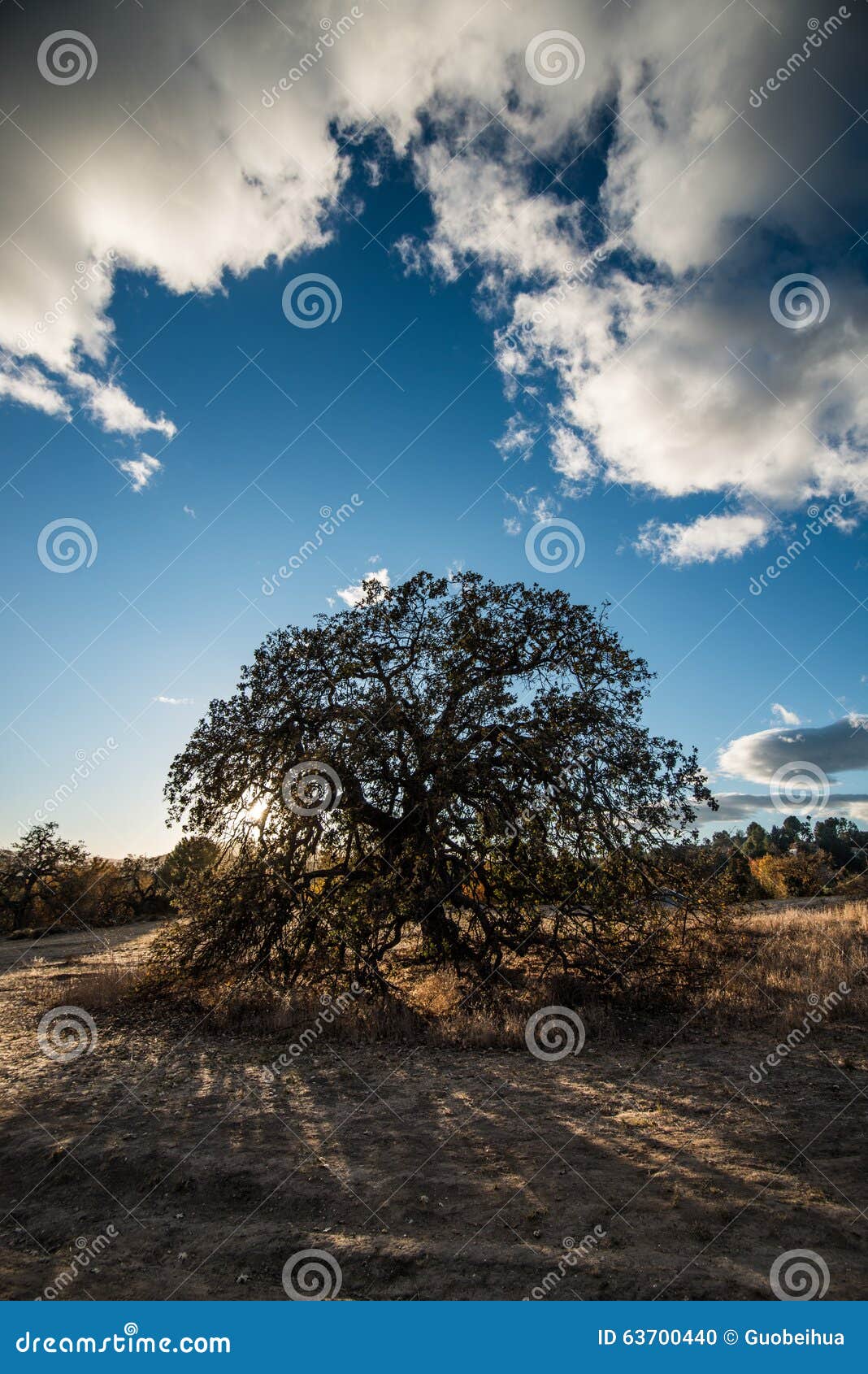 Cheeseboro Y Palo Comado Canyon Foto de archivo - Imagen de senderismo ...