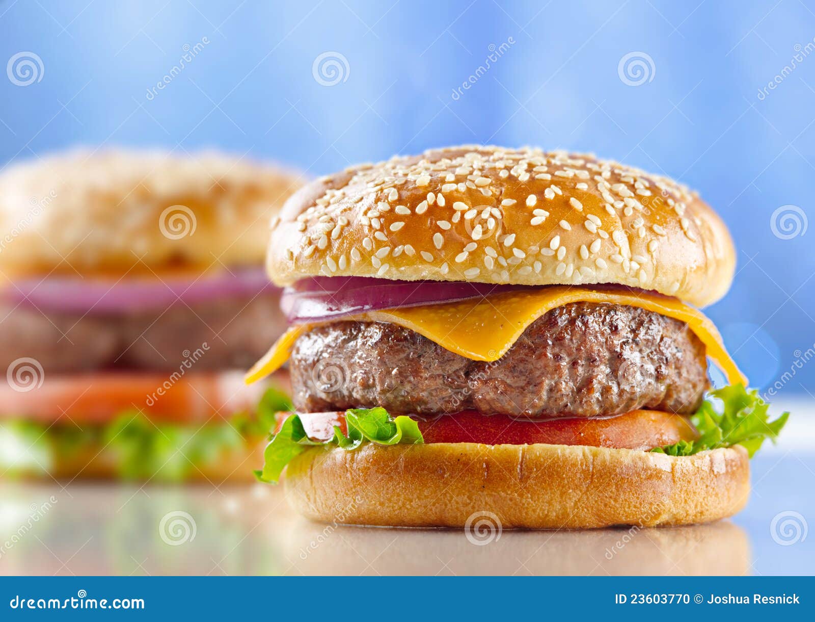 Cheeseburger stock photo. Image of hamburger, cheddar - 23603770