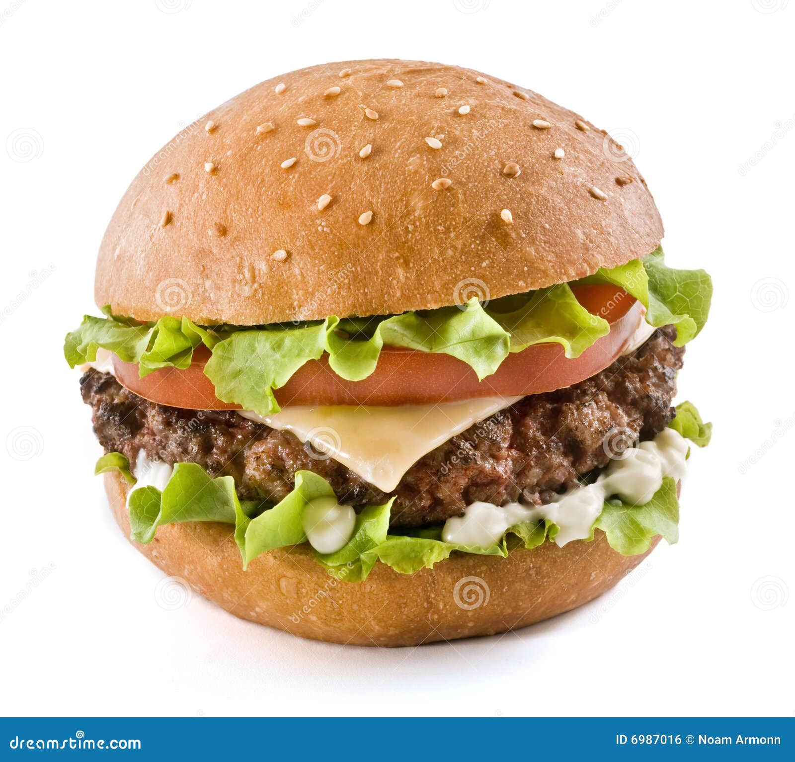 Cheeseburger stock photo. Image of dinner, juicy, burger - 6987016