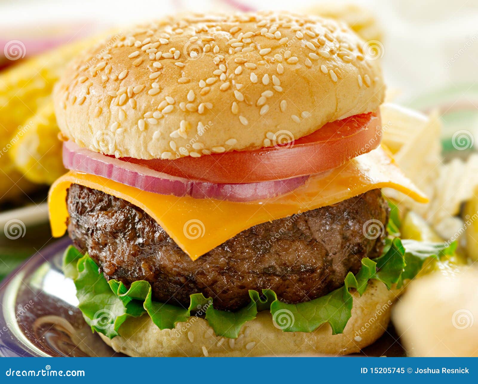 Cheeseburger closeup stock image. Image of fried, bread - 15205745