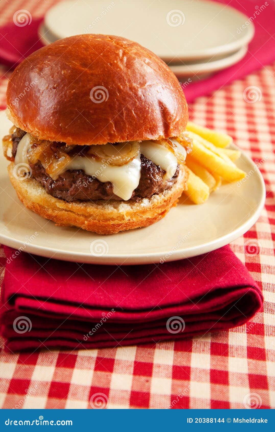Cheeseburger with fries stock photo. Image of hamburger - 20388144