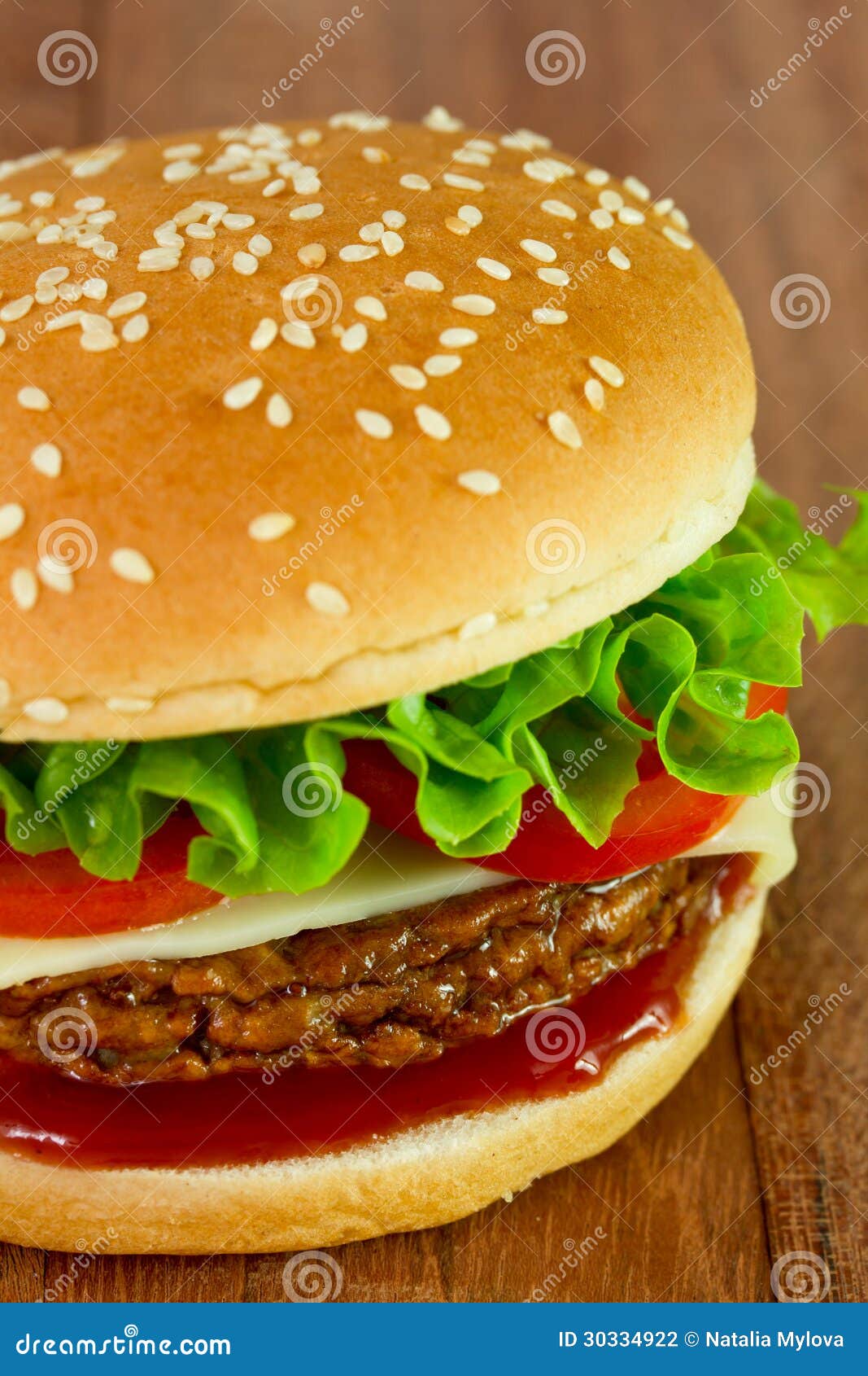 Cheeseburger with lettuce stock photo. Image of seed - 30334922