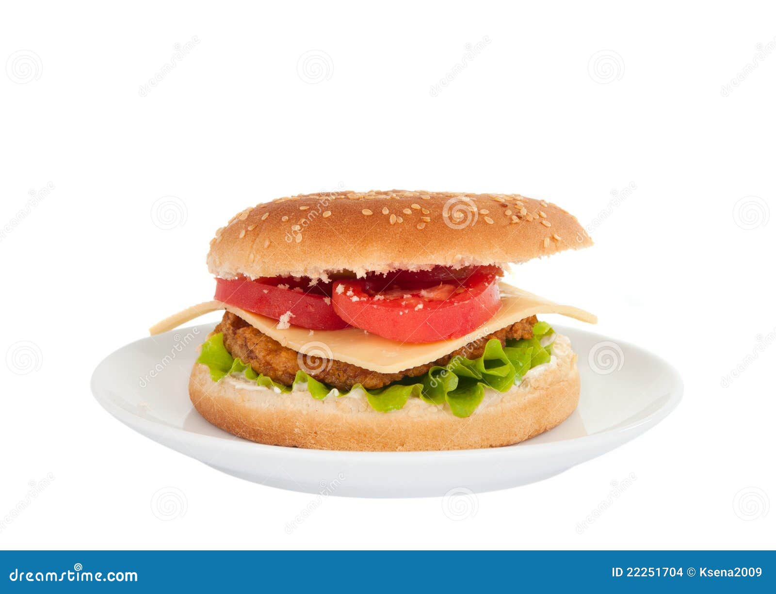 Cheeseburger in a plate stock photo. Image of background - 22251704