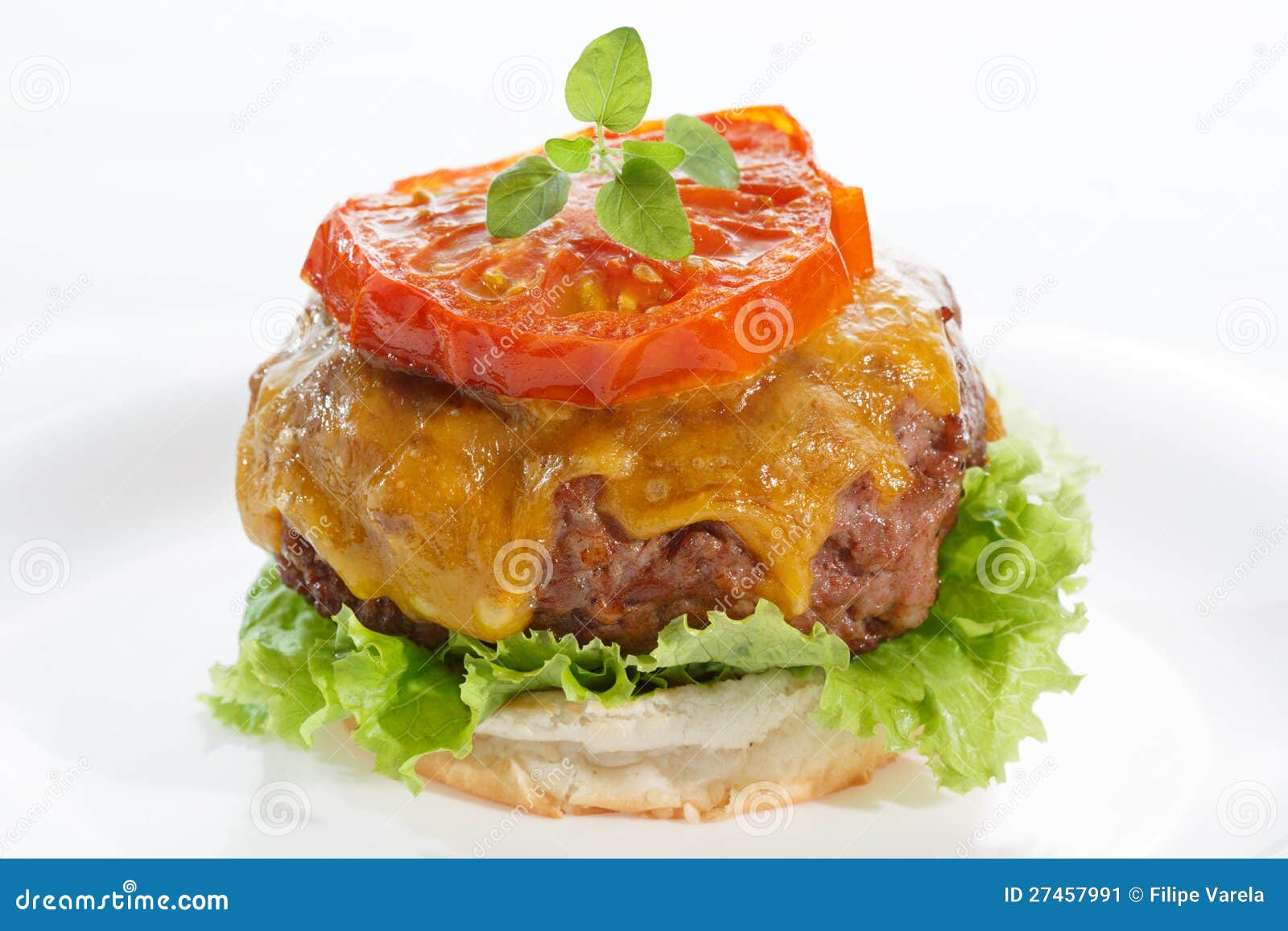 Cheeseburger on a plate stock image. Image of fries, green - 27457991