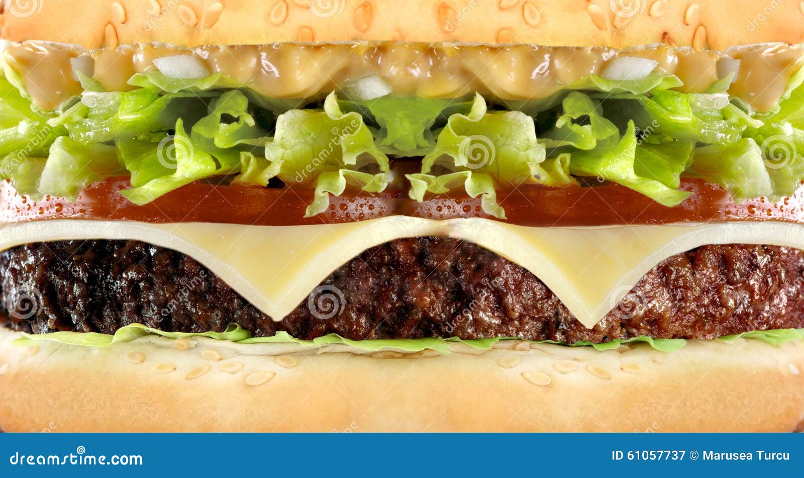 Cheeseburgermacro close-up stock image. Image of meal - 61057737