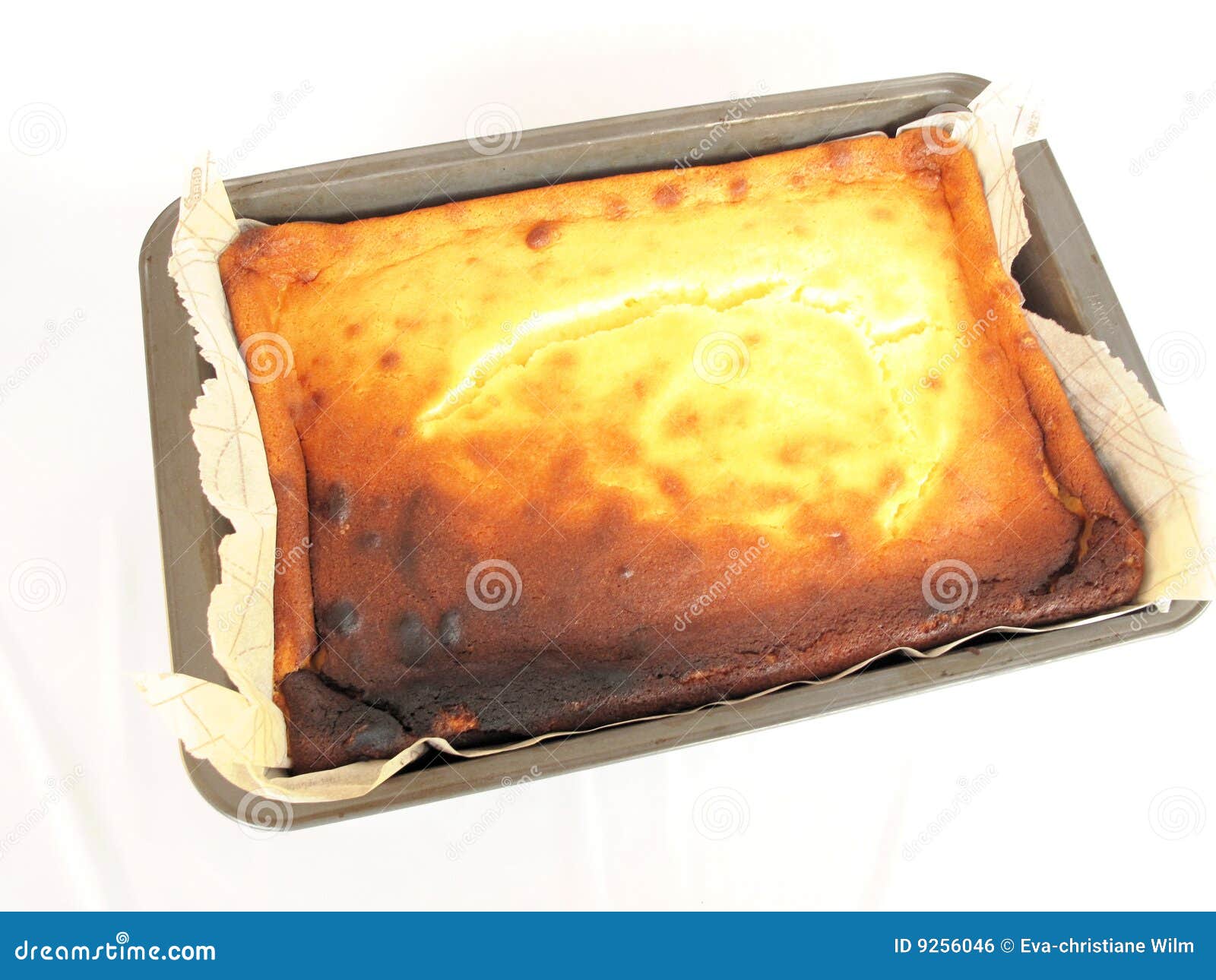 Cheesecake stock photo. Image of horizontal, shaped, isolated - 9256046