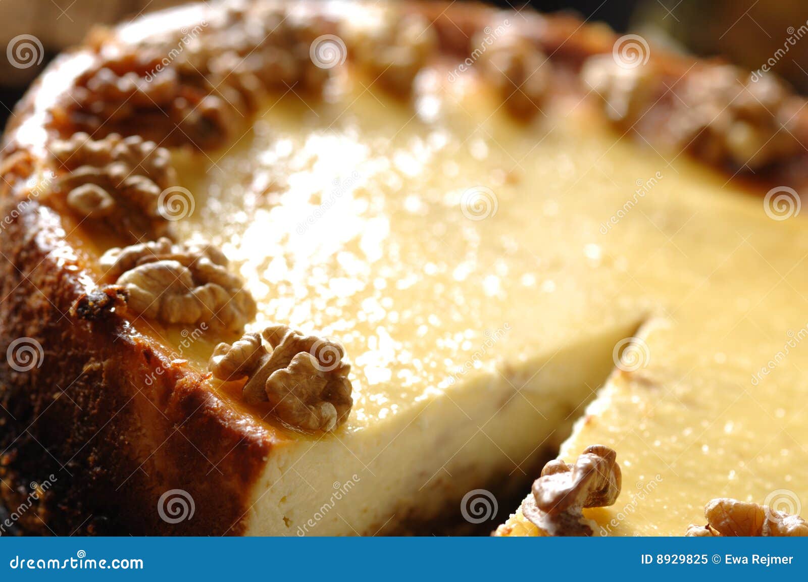 Cheesecake with Nuts stock image. Image of homemade, cheesecake - 8929825