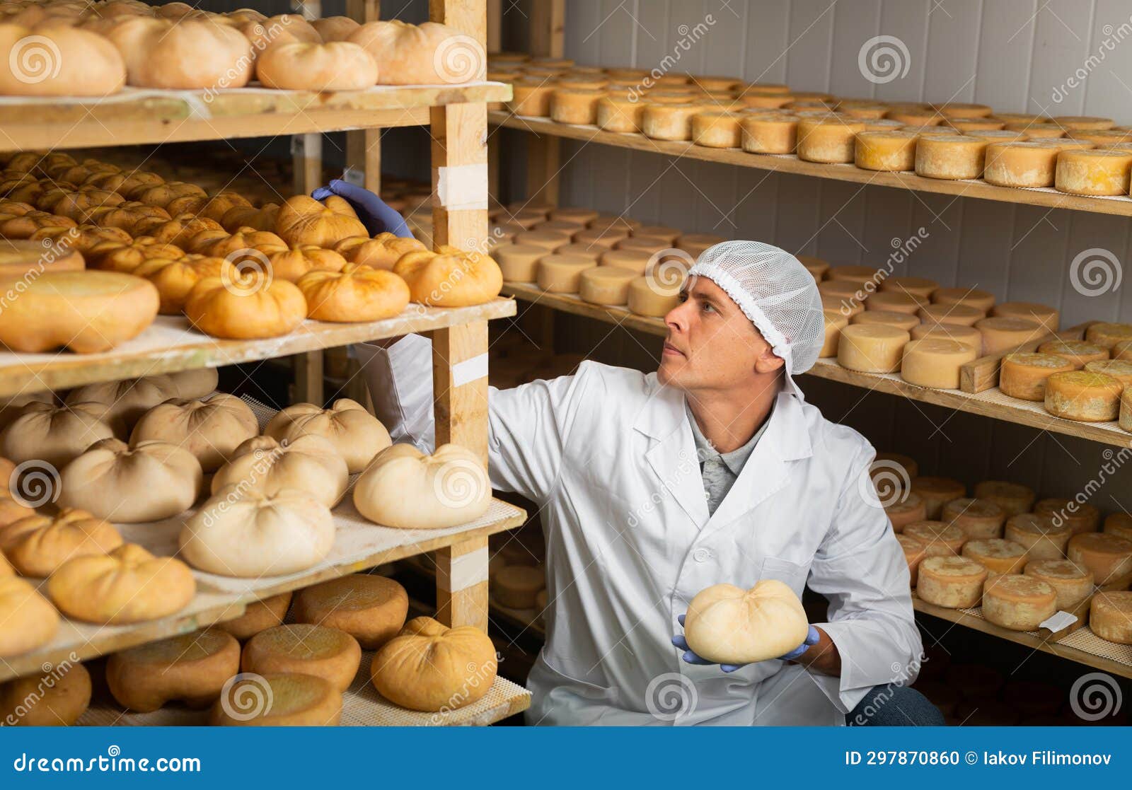 Cheesemaker Checking Aging Process of Cheese in Maturing Chamber Stock ...