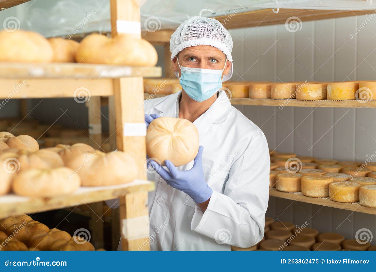 Cheesemaker Checking Aging Process of Goat Cheese in Maturing Chamber ...