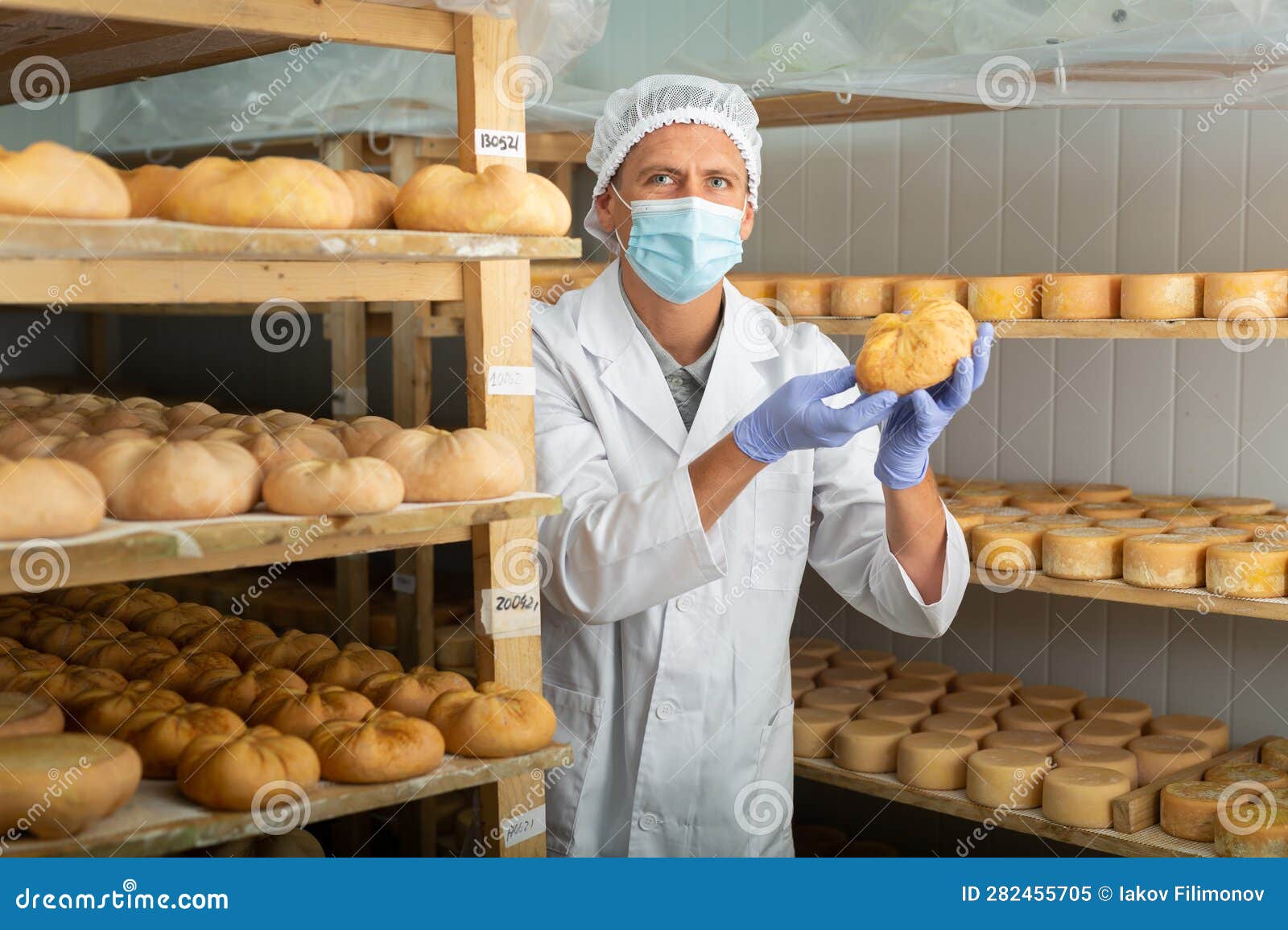 Cheesemaker Checking Aging Process of Goat Cheese in Maturing Chamber ...