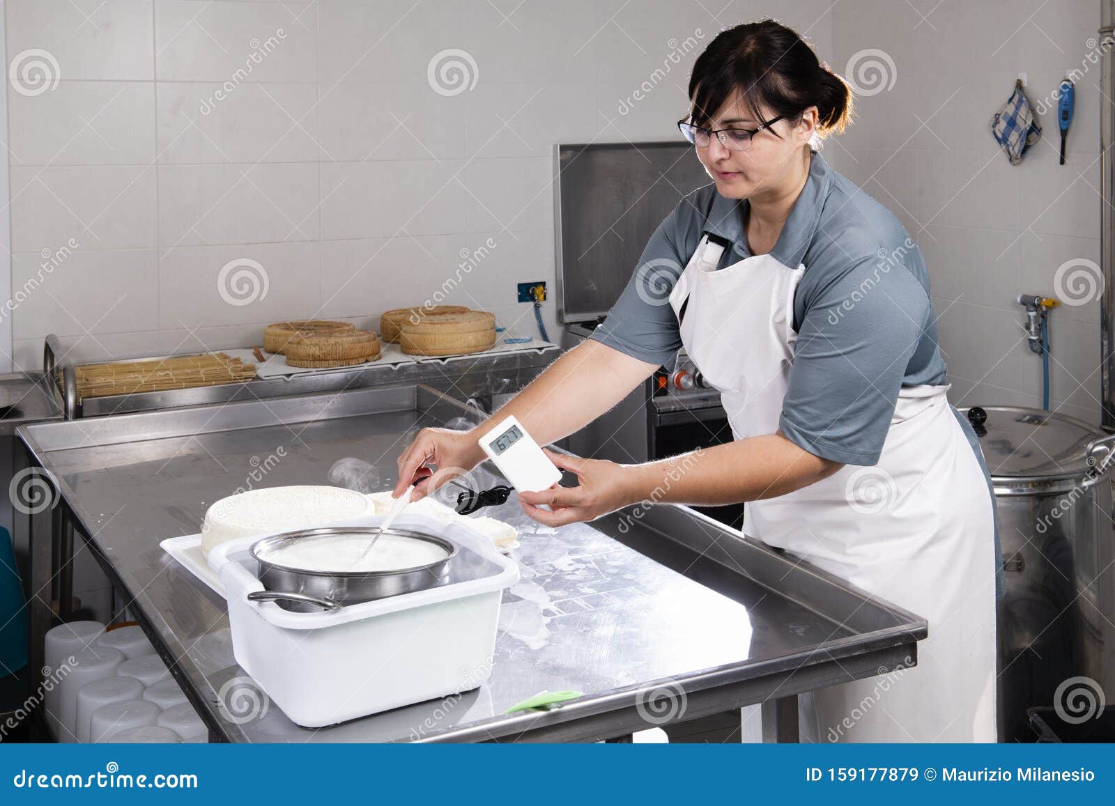 Cheesemaker Measures the Temperature of the Milk with an Electronic ...