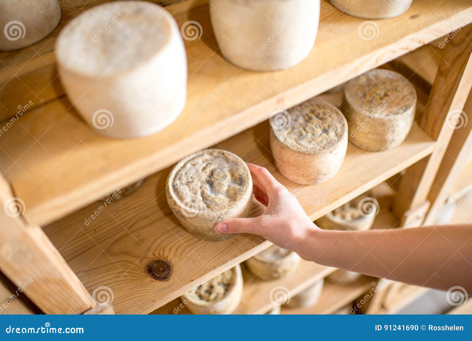 Cheeses Aging at the Cellar Stock Photo - Image of cheese, process ...