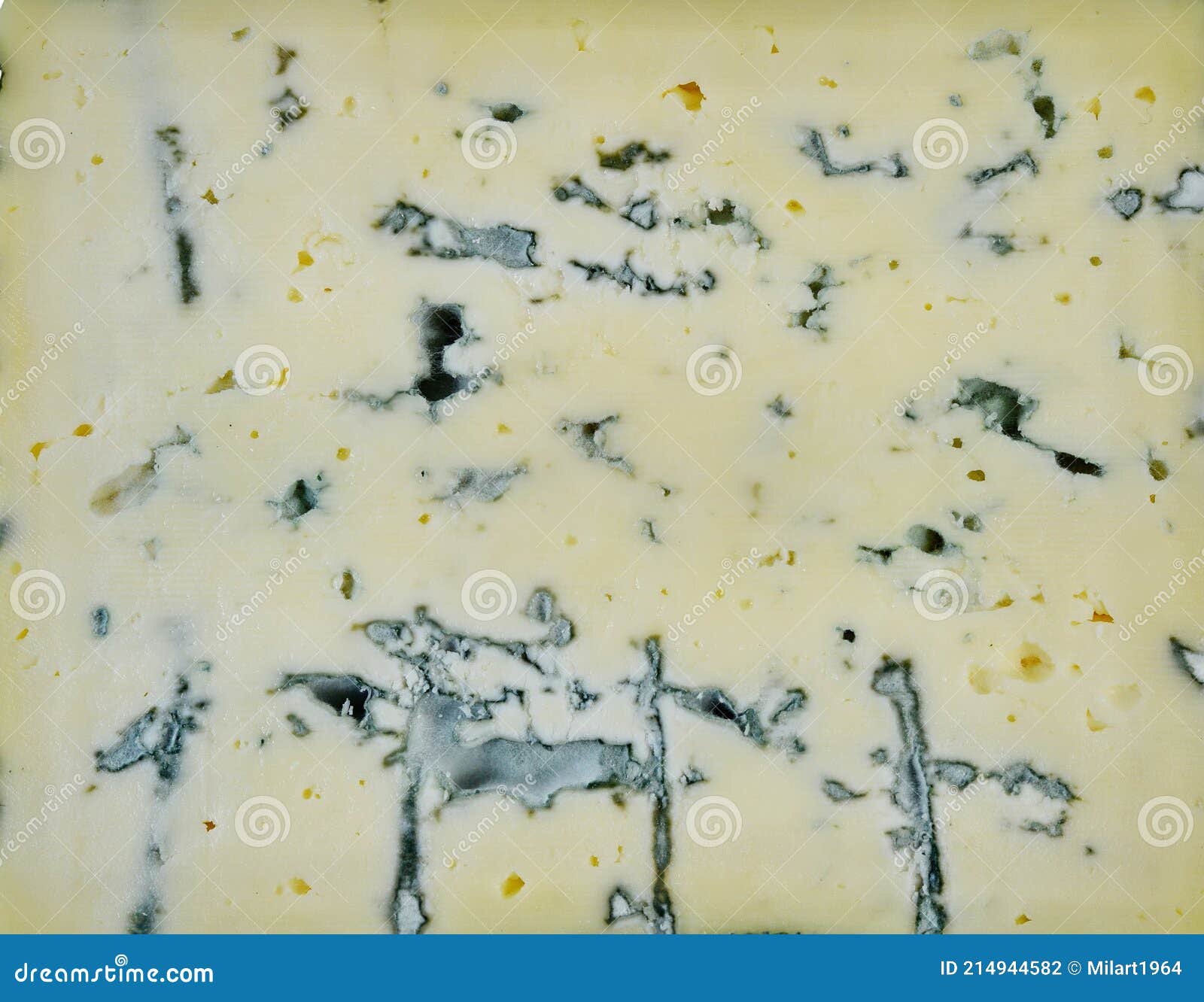 Cheesetexture background stock photo. Image of organic - 214944582