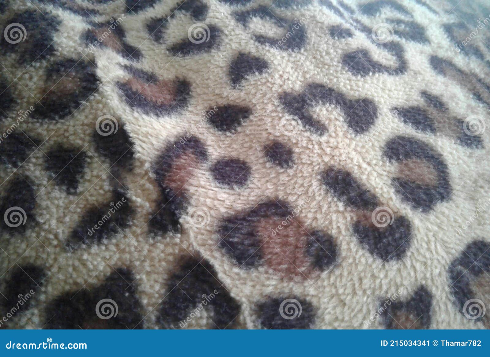 Cheeta animal skin pattern stock image. Image of textile - 215034341