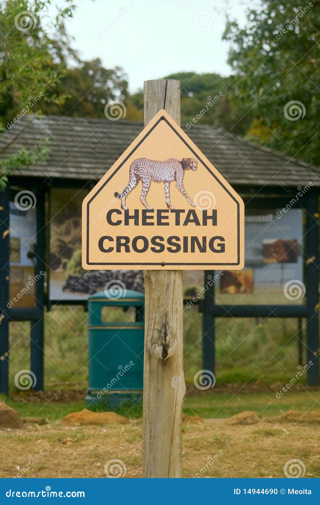 Cheetah Crossing sign stock photo. Image of exotic, tree - 14944690